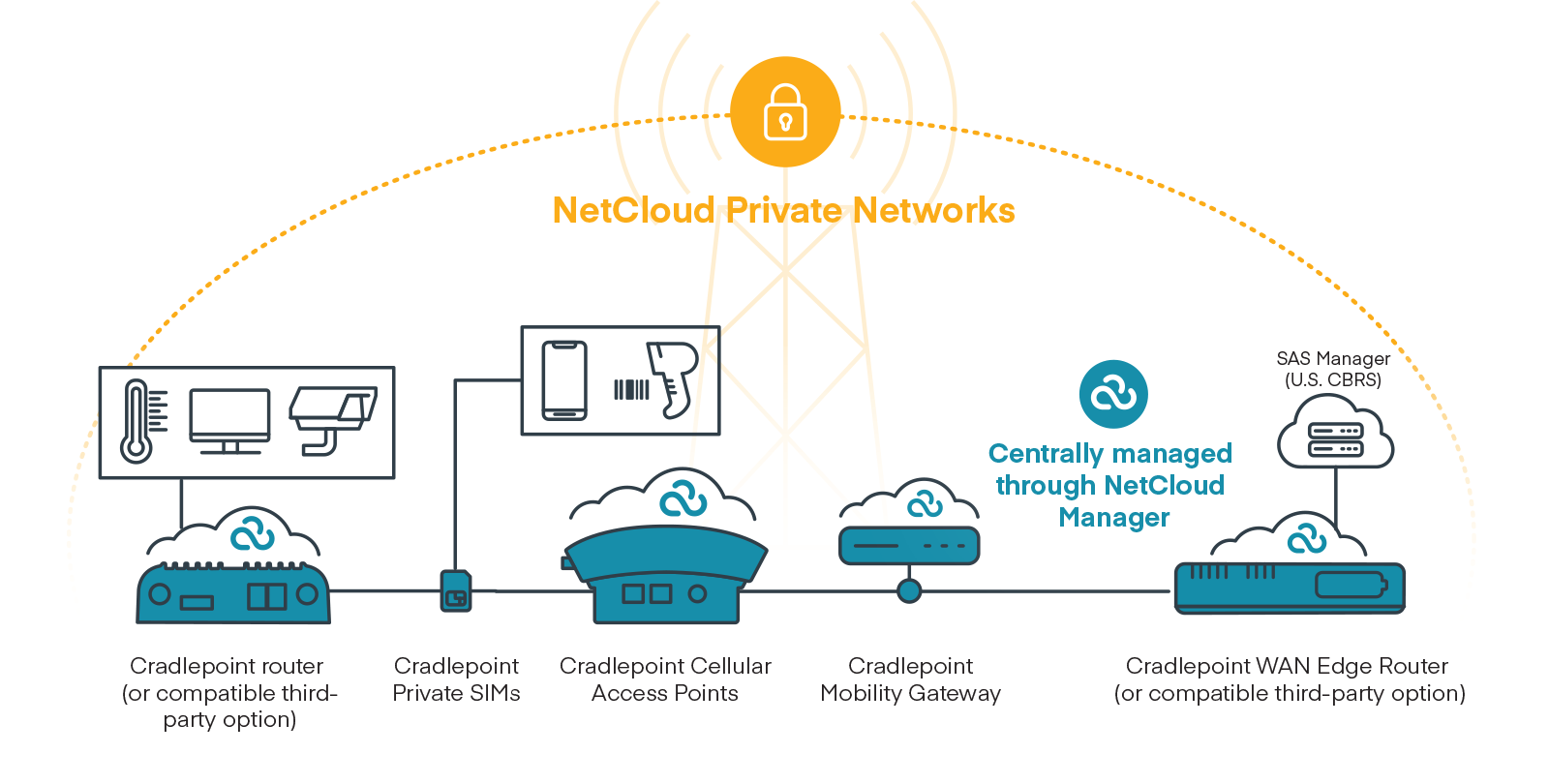 NetCloud Private Networks for Private 5G and LTE | Cradlepoint